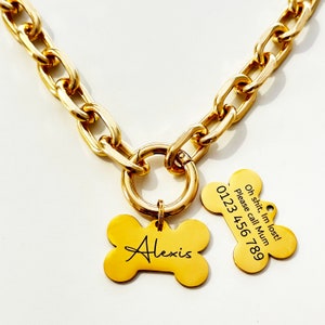 Lightweight Dog Chain Collar, Dog Necklace for Dog, Chain Link Dog ...