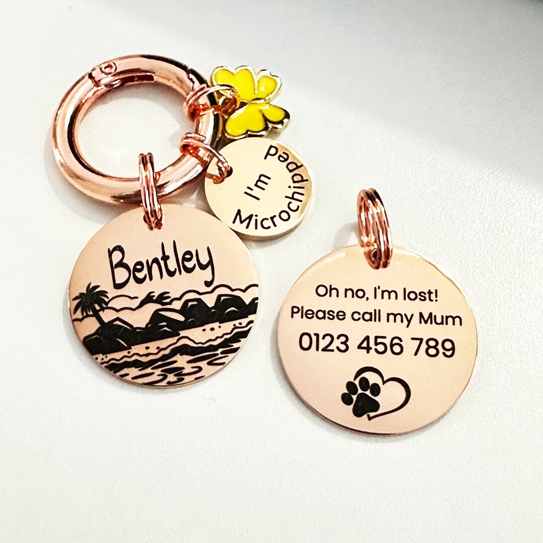 Custom Engraved Dog Tags, Stainless Steel Dog Tags, Durable Pet ID Tags ...