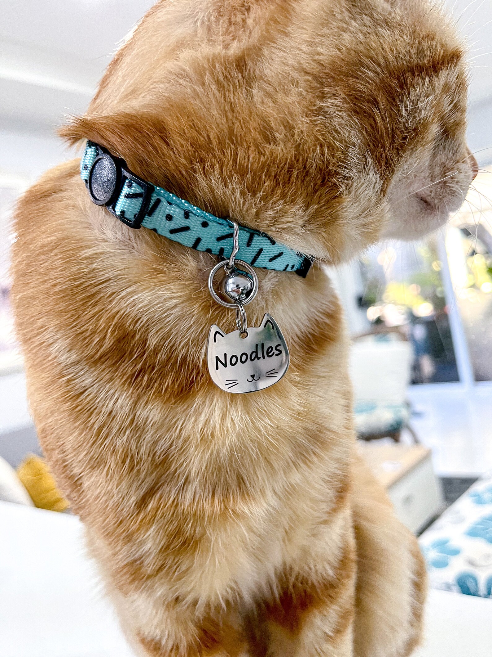 Engraved Cat ID Tags in Stainless Steel/cat Face Shaped Cat Name Tag ...