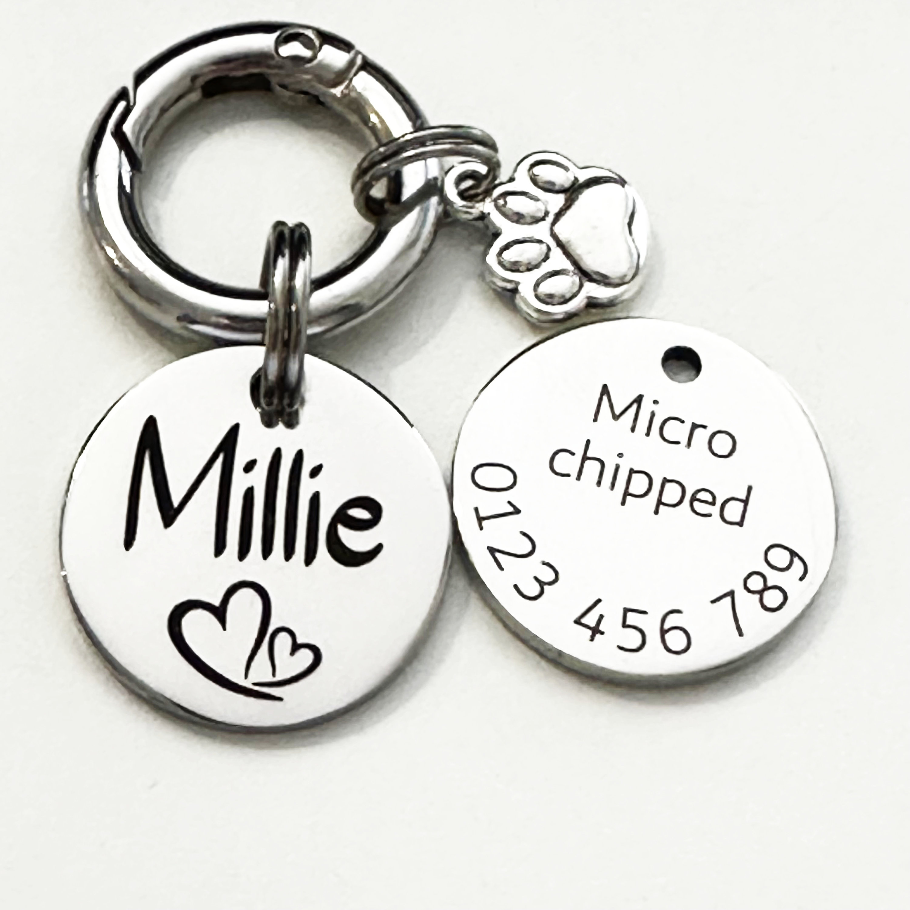 Engraved Cat ID Tag in Stainless Steel for Small to Large Cats/collar ...
