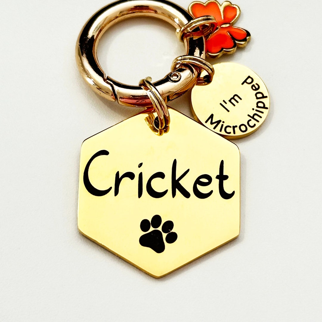 Custom Engraved Hexagon Dog Name Tag: Stainless Steel Pet ID Silver ...