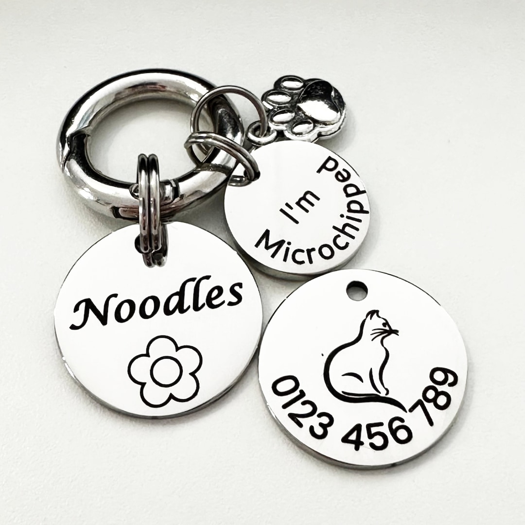 Personalized Cat Name Tag Engraved Stainless Steel/cute Cat Tags ...