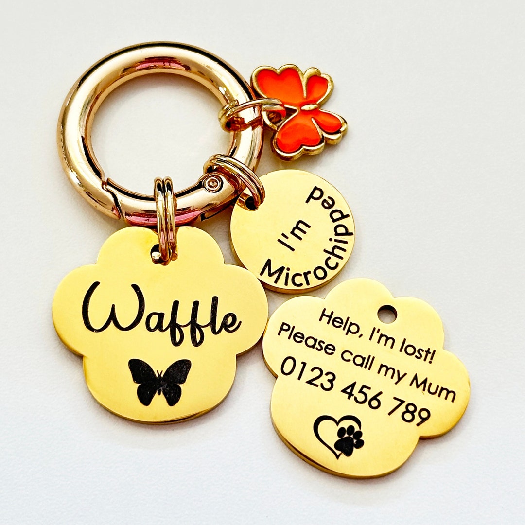 Cute Engraved Dog Name Tag With Microchipped Add-on, Personalized Dog ...