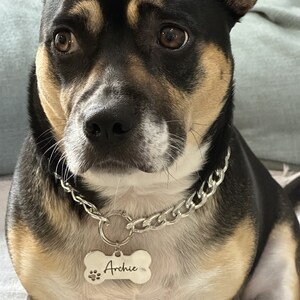 Chain Dog Collar Lightweight, Personalized Dog Necklace Silver, Cuban ...