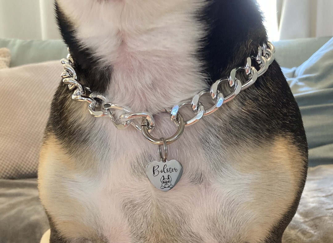 Personalized Chain Link Dog Collar Necklace, Dog Necklace for Dog ...