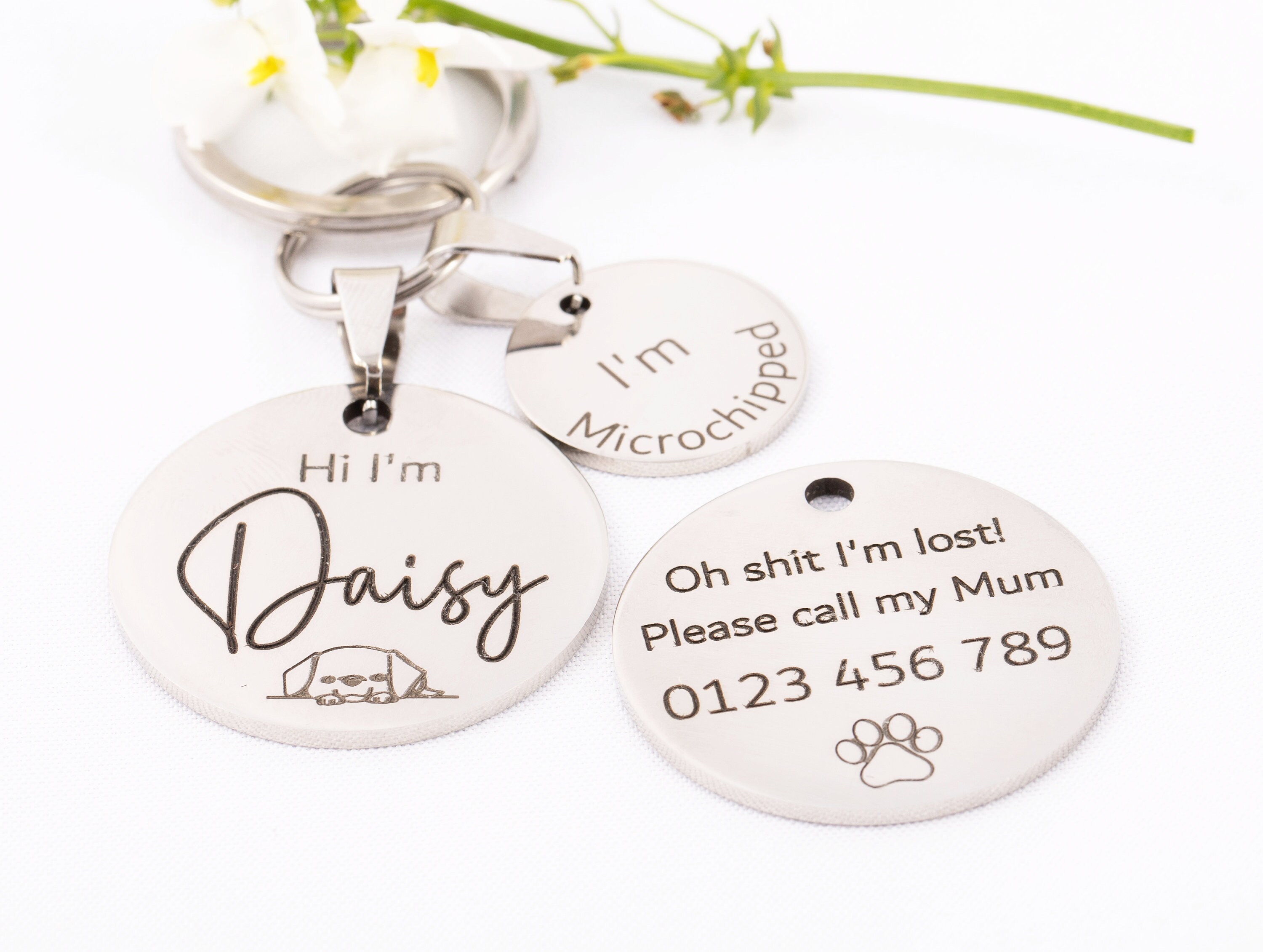 Large Name Tags For Dogs
