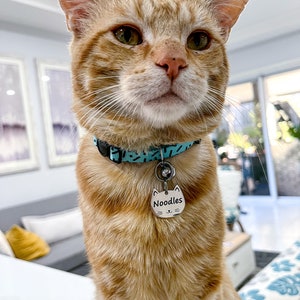 Engraved Cat Name Tag in Stainless Steel /personalized Cat ID Tags/cat ...