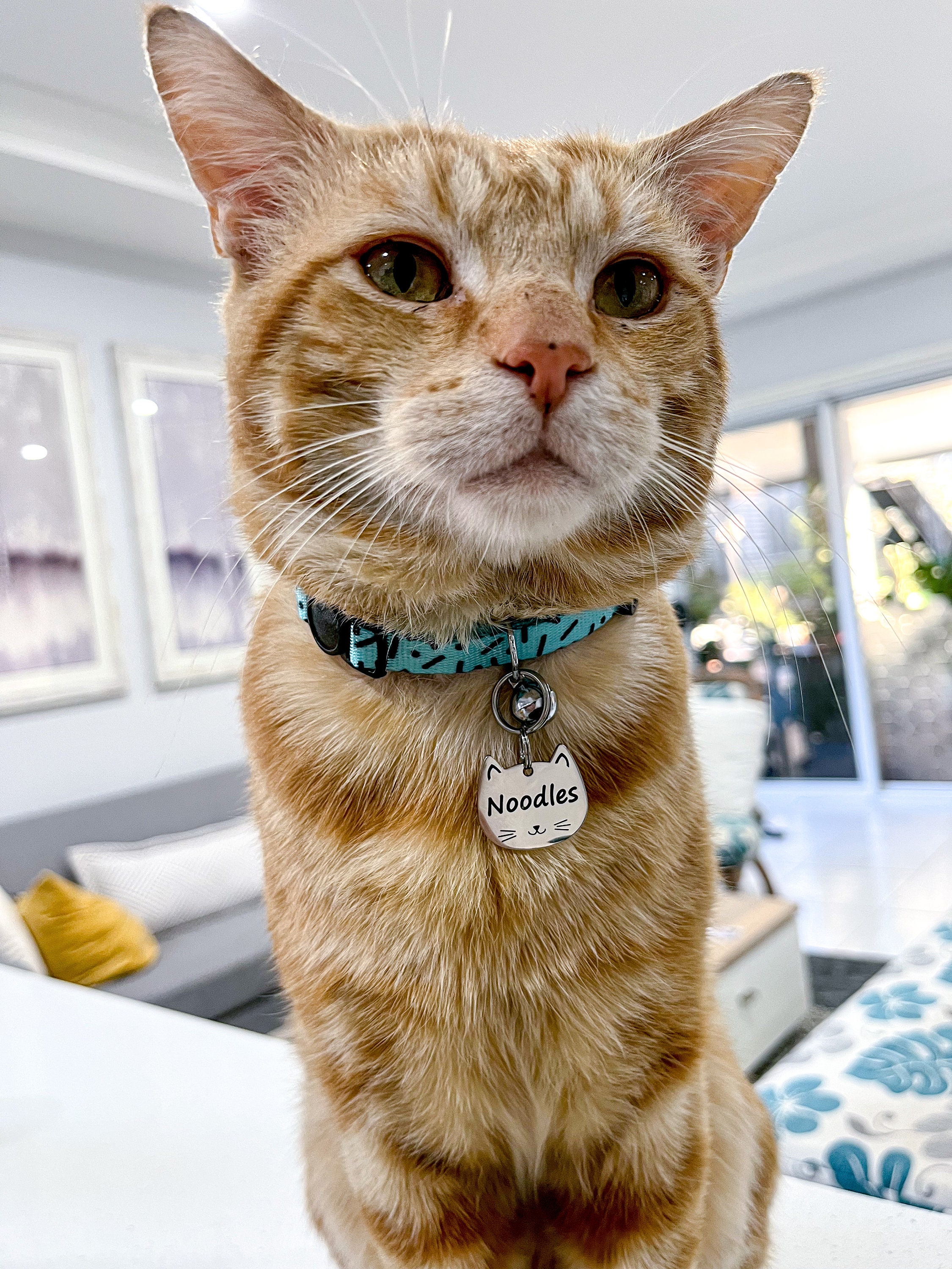 Engraved Cat ID Tags in Stainless Steel/cat Face Shaped Cat Name Tag ...