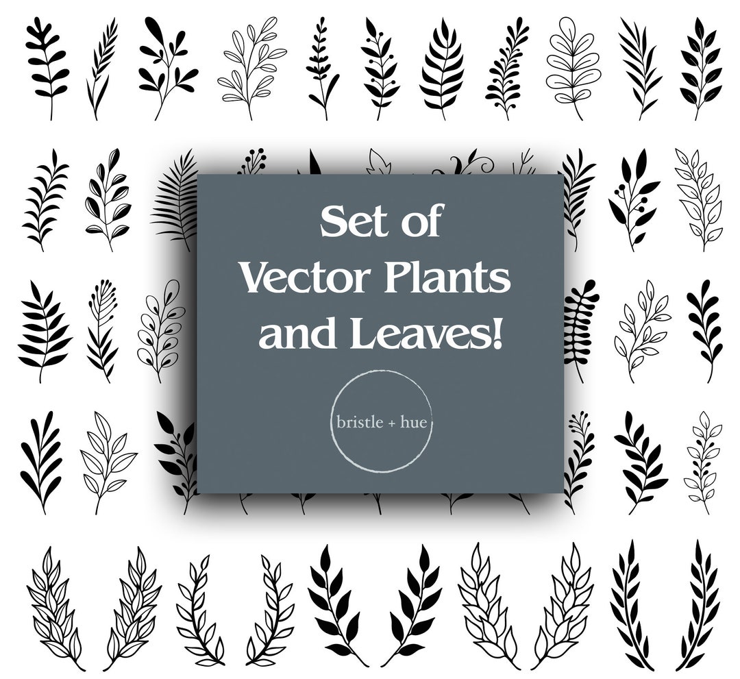 Vector Plants and Foliage Elements EPS/SVG/PNG Instant Download! - Etsy