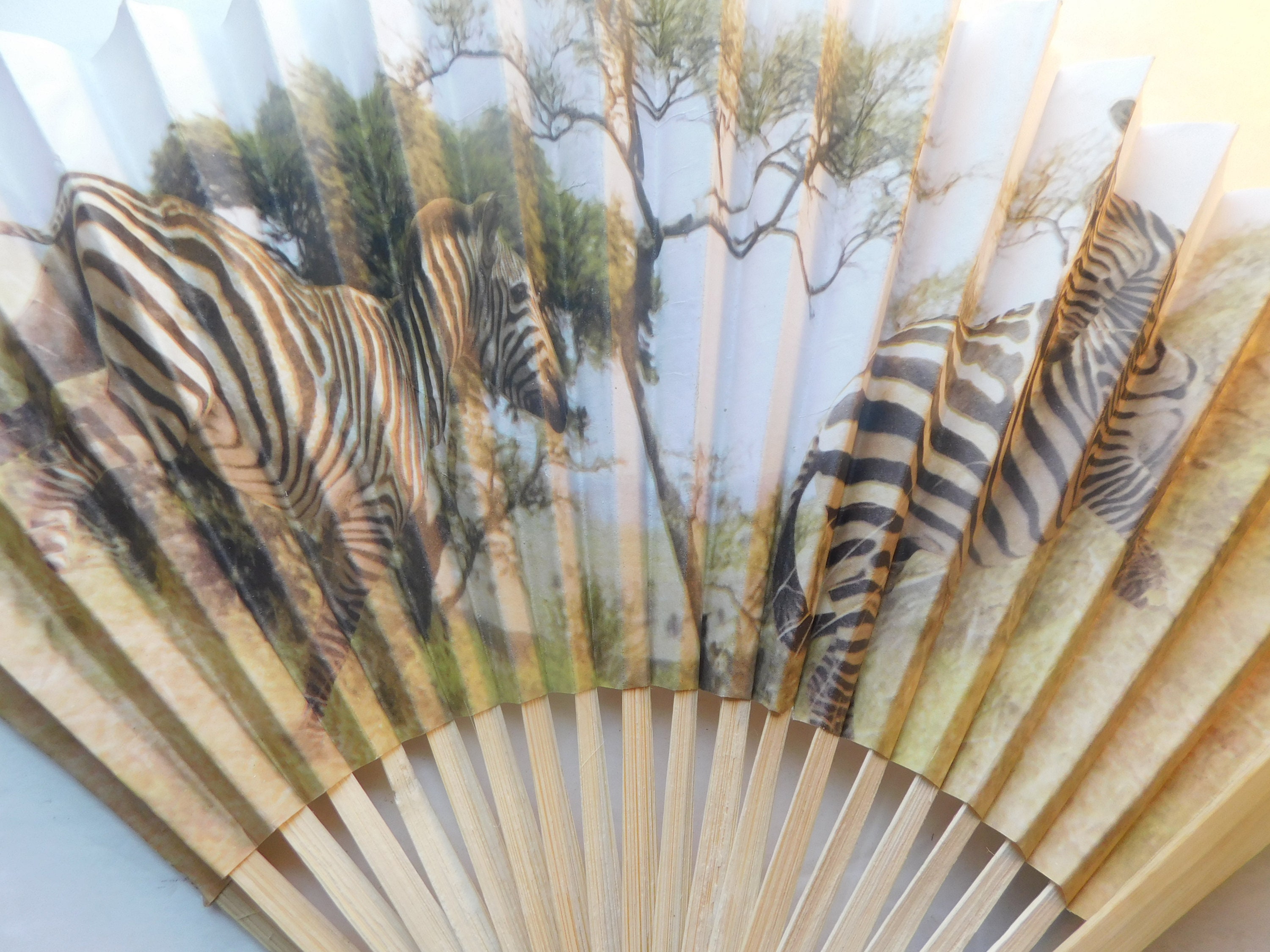 Zebra Animal Safari 11x16 Folding Fans Paper Wood Hand FAN - Etsy