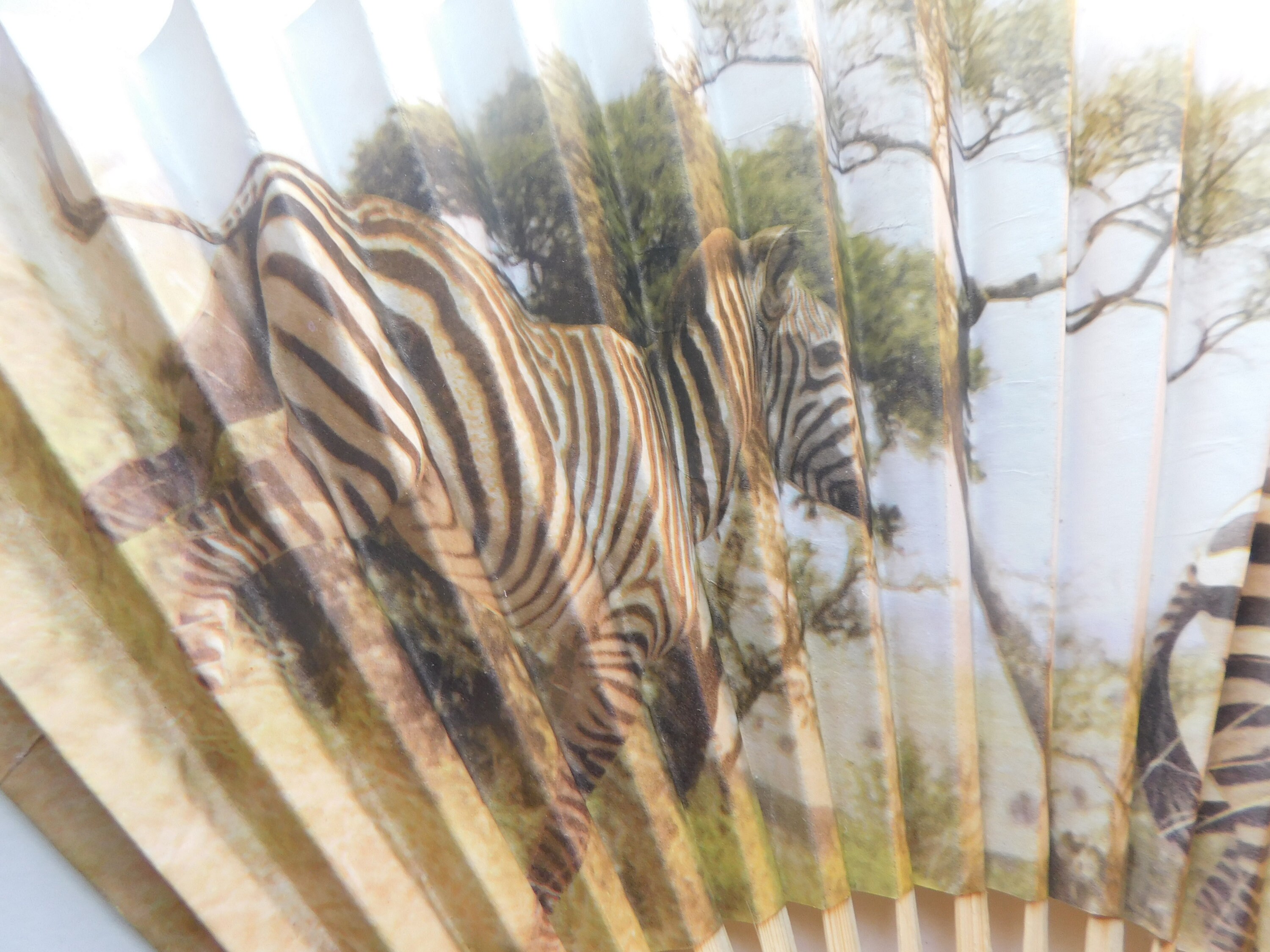 Zebra Animal Safari 11x16 Folding Fans Paper Wood Hand FAN - Etsy