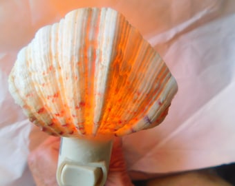 Shell Night Light - Etsy