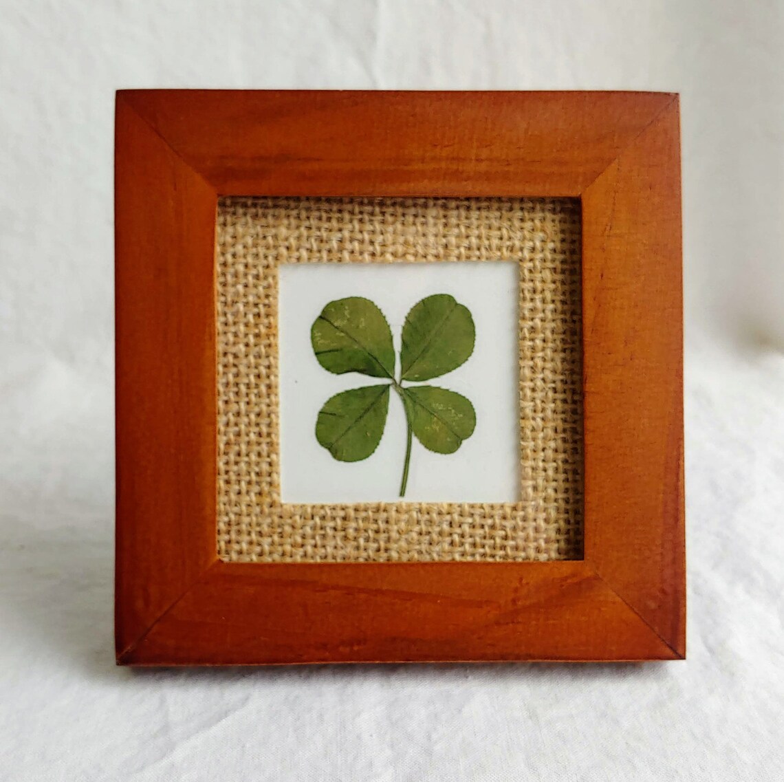 Trébol de cuatro/cinco hojas enmarcado - Etsy España