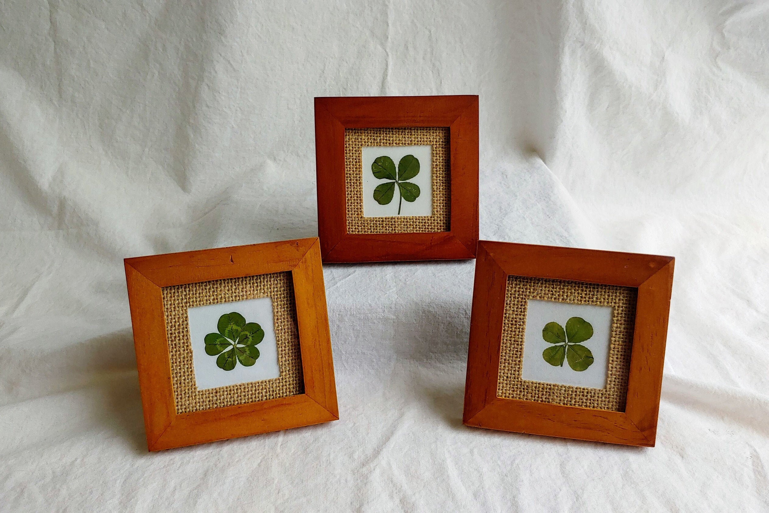 Trébol de cuatro/cinco hojas enmarcado - Etsy España