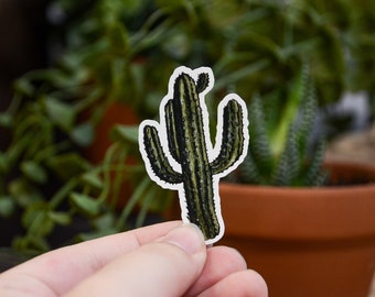 Vinyl Cactus Sticker Pink Flower Decal Vintage Vinyl - Etsy