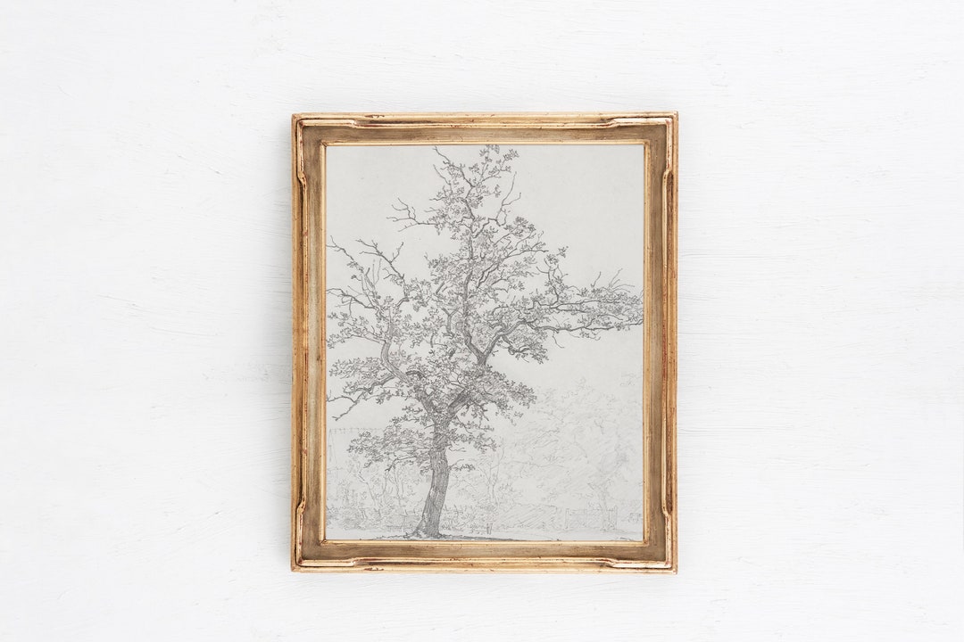 Antique Tree Sketch, Vintage Tree Drawing, Farmhouse Tree Painting ...