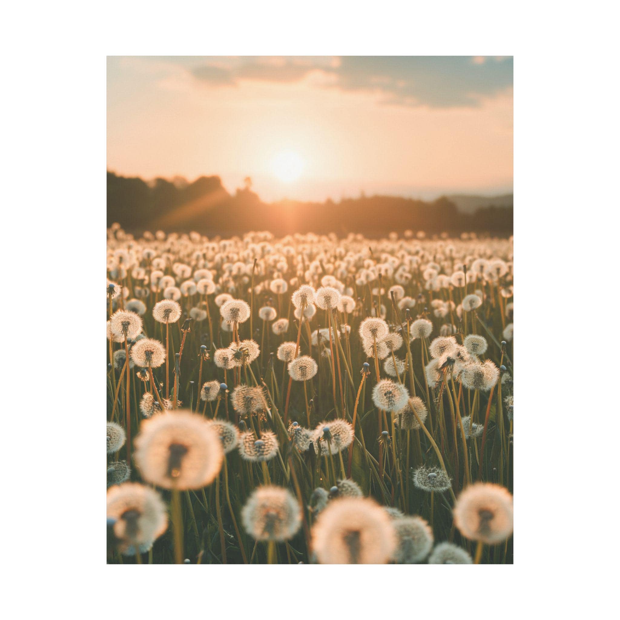 Dandelion Wall Art, Farmhouse Decor, Field of Dandelions, Cottagecore ...