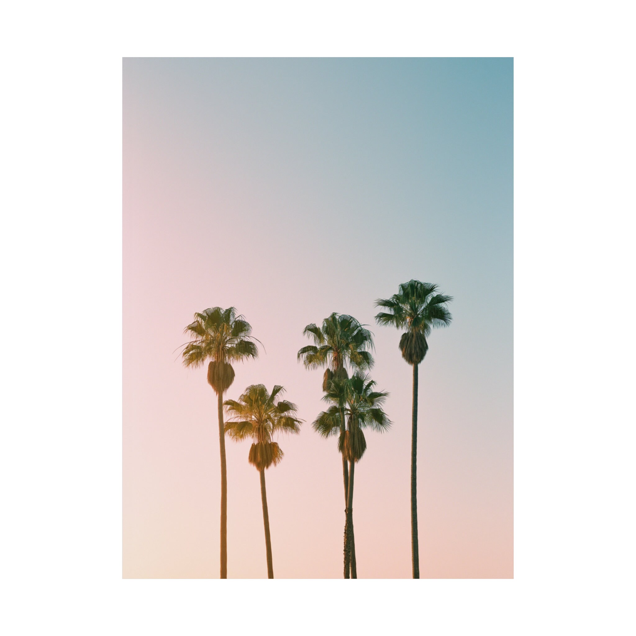 Minimal Palm Trees Poster, Palm Tree Wall Art, Sunset Aesthetic Art ...
