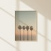 Minimal Palm Tree Poster, Sunset Beach Poster, Palm Tree Wall Art ...
