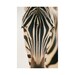 Minimal Zebra Wall Art, Black and White Art, Sophisticated Animal ...