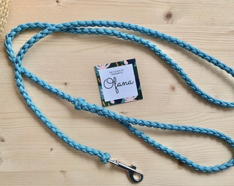 Light Blue Dog Leash | Etsy