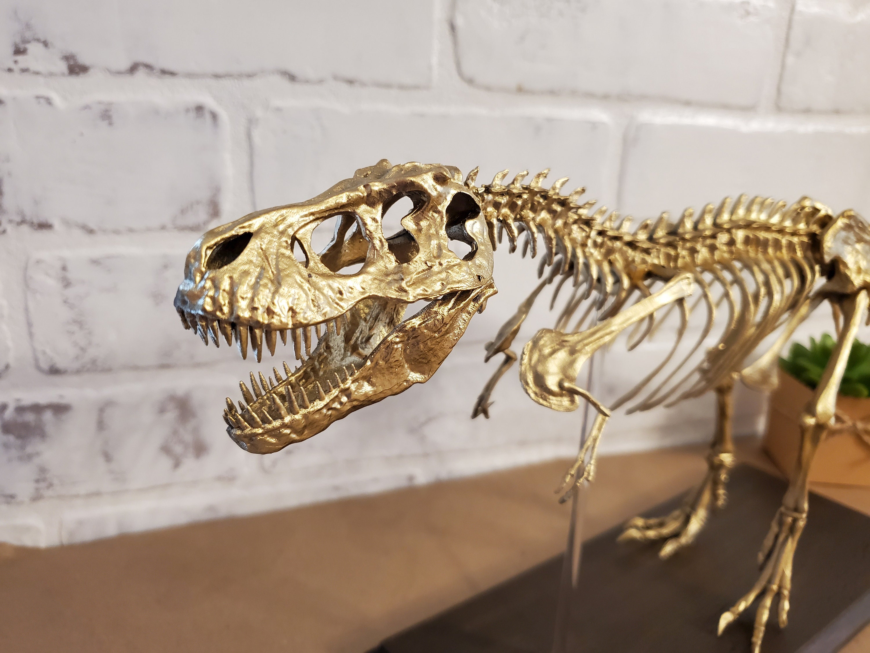 T. Rex Skeleton Tyrannosaurus Rex Miniature - Etsy