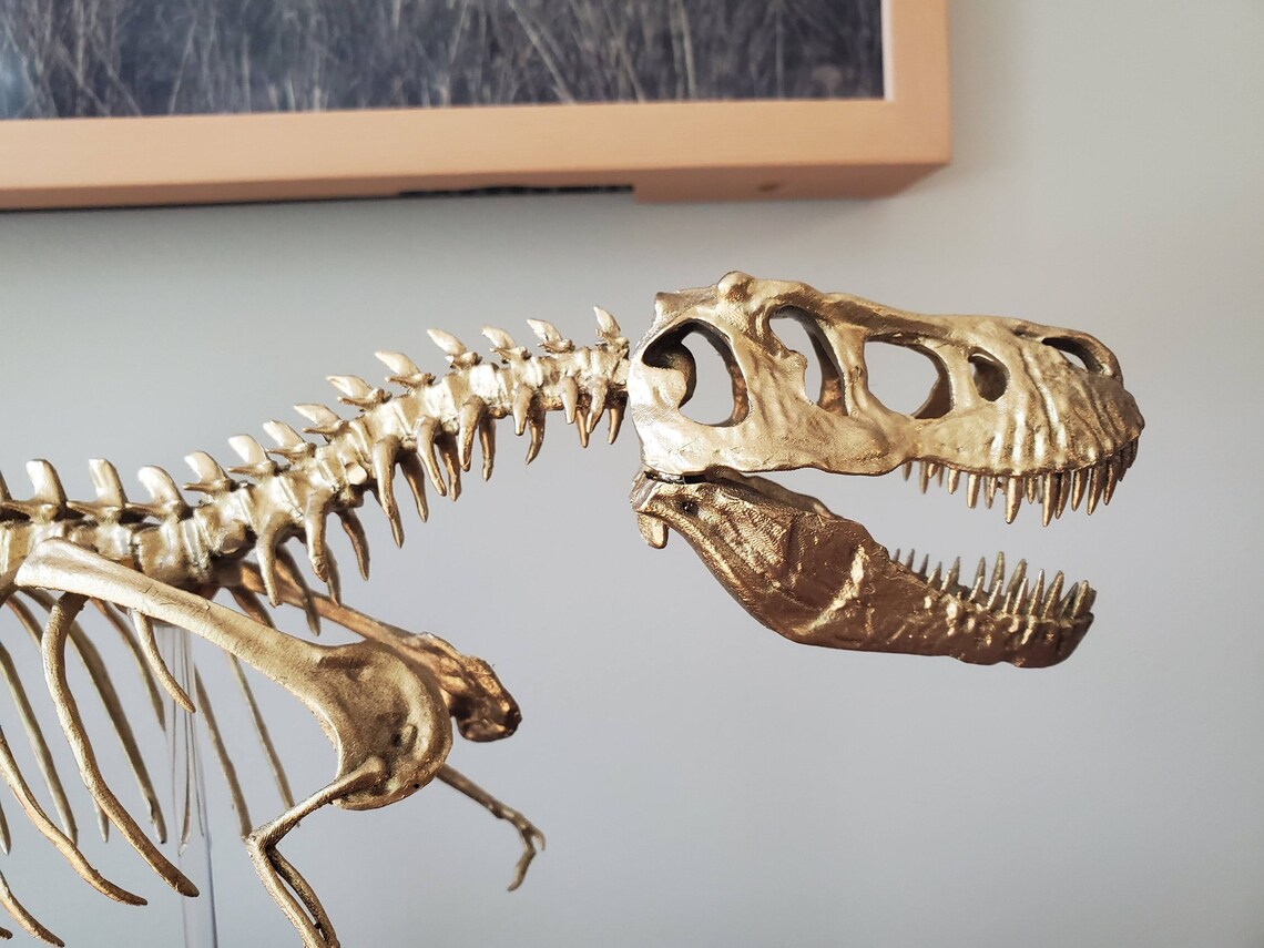 T. Rex Skeleton Tyrannosaurus Rex Miniature - Etsy