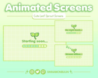 Animated Starting Soon Screen - Etsy