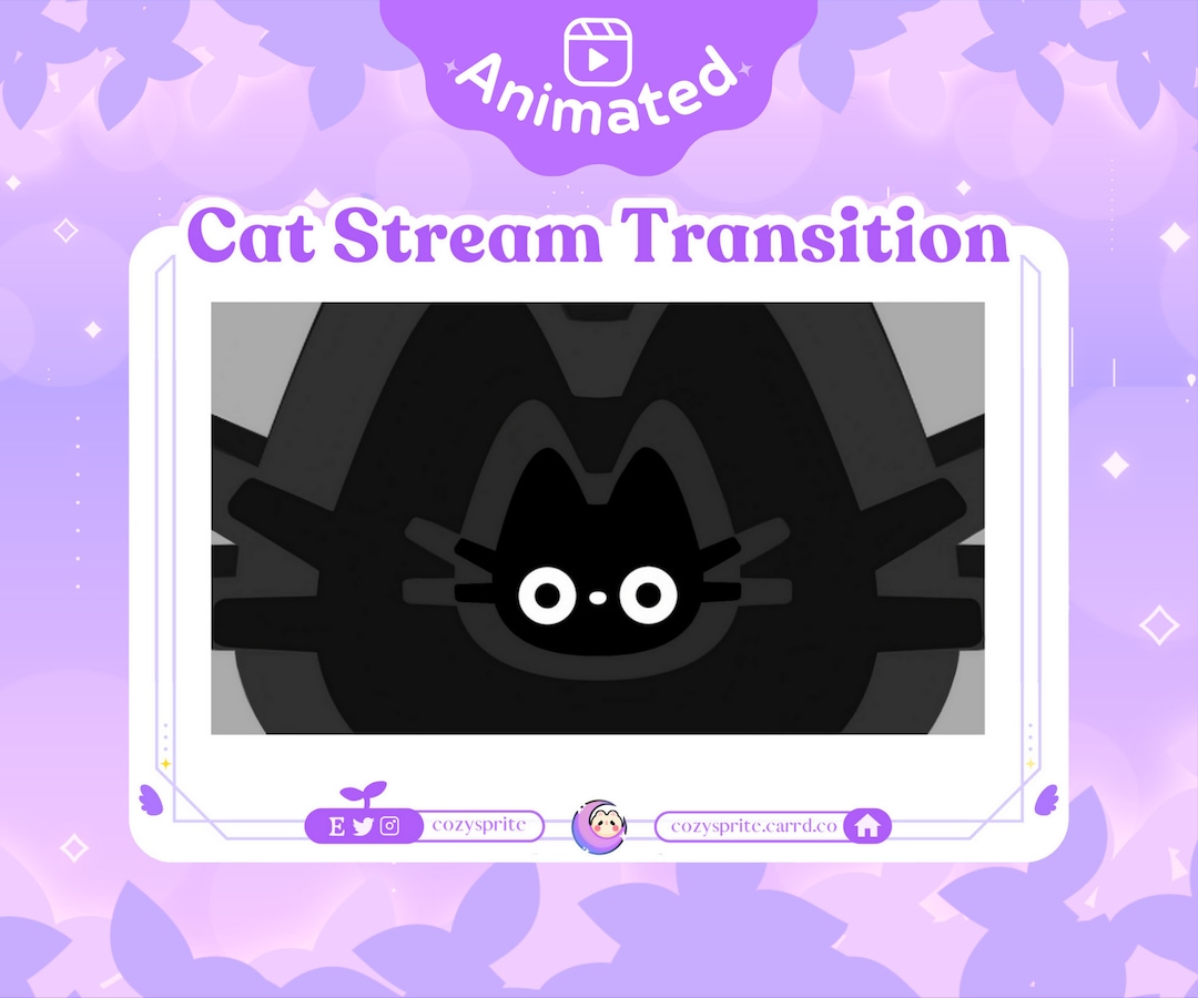 Black Cat Stinger Transition | Twitch Stream Scene Stinger Transition ...