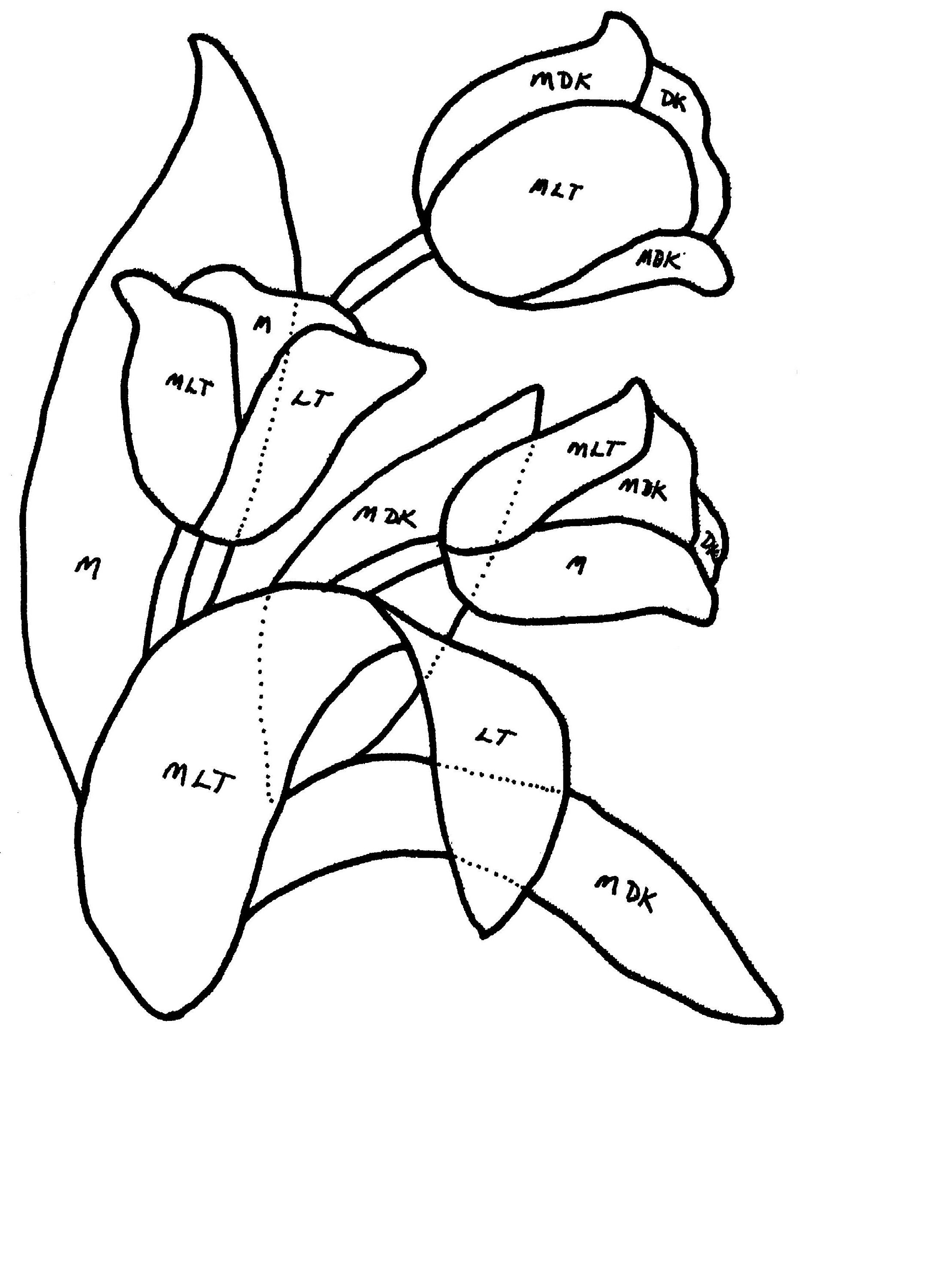 1998 Spring Awakening Quilt Banner Rose M Hahn Design Appliqué Quilt ...