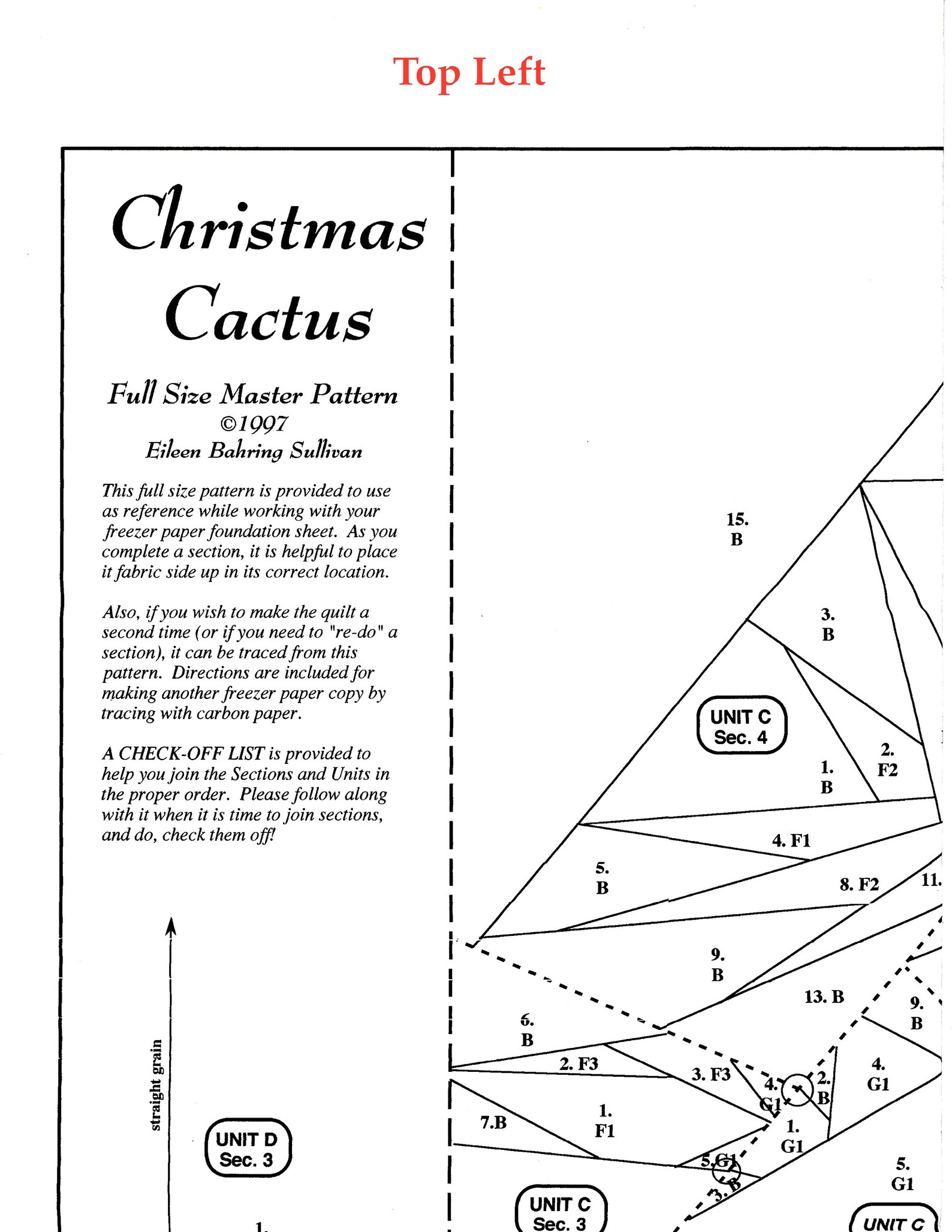 1997 Christmas Cactus Quilt Design Quilt Pattern Instant - Etsy