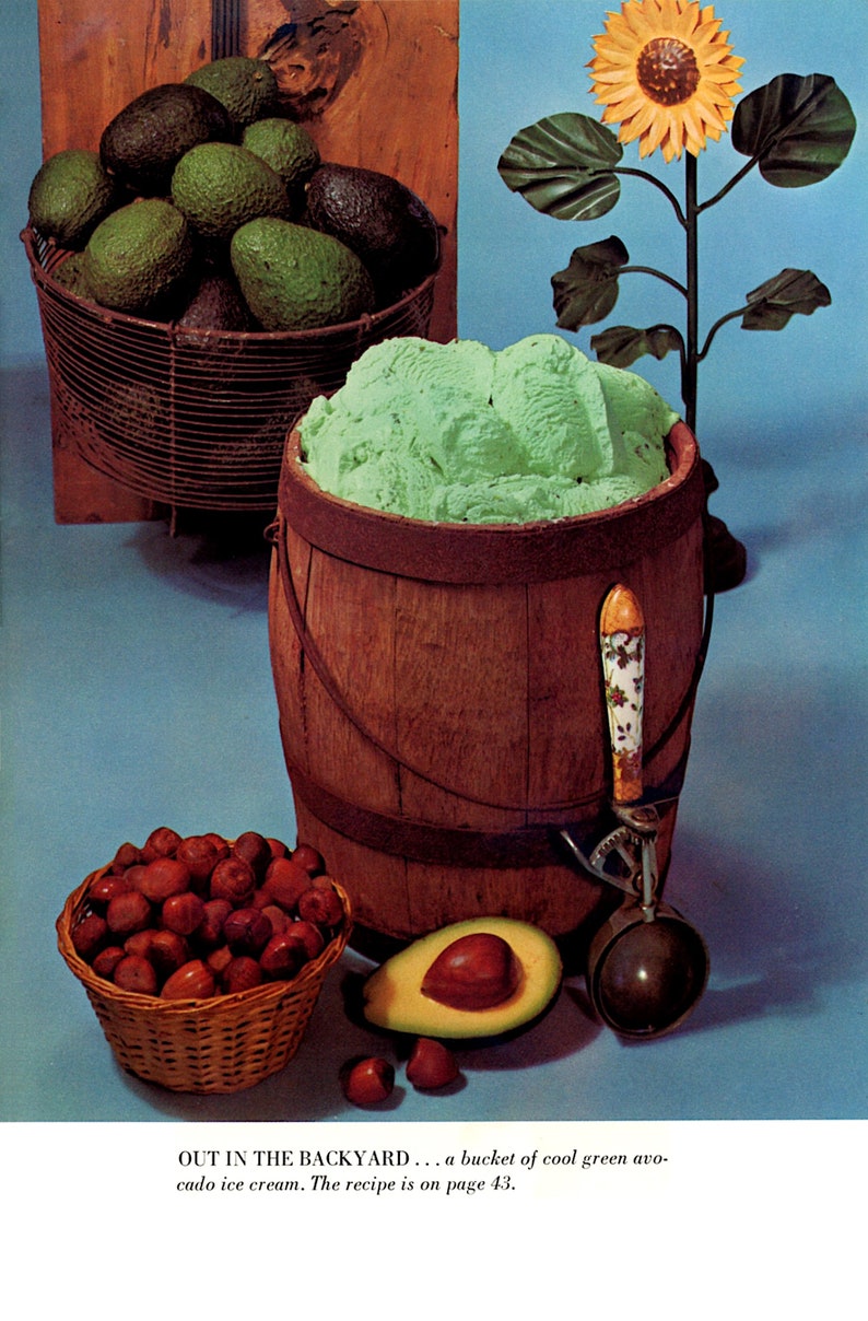 1978 the Avocado Bravo Cook Book Instant Digital Download California ...