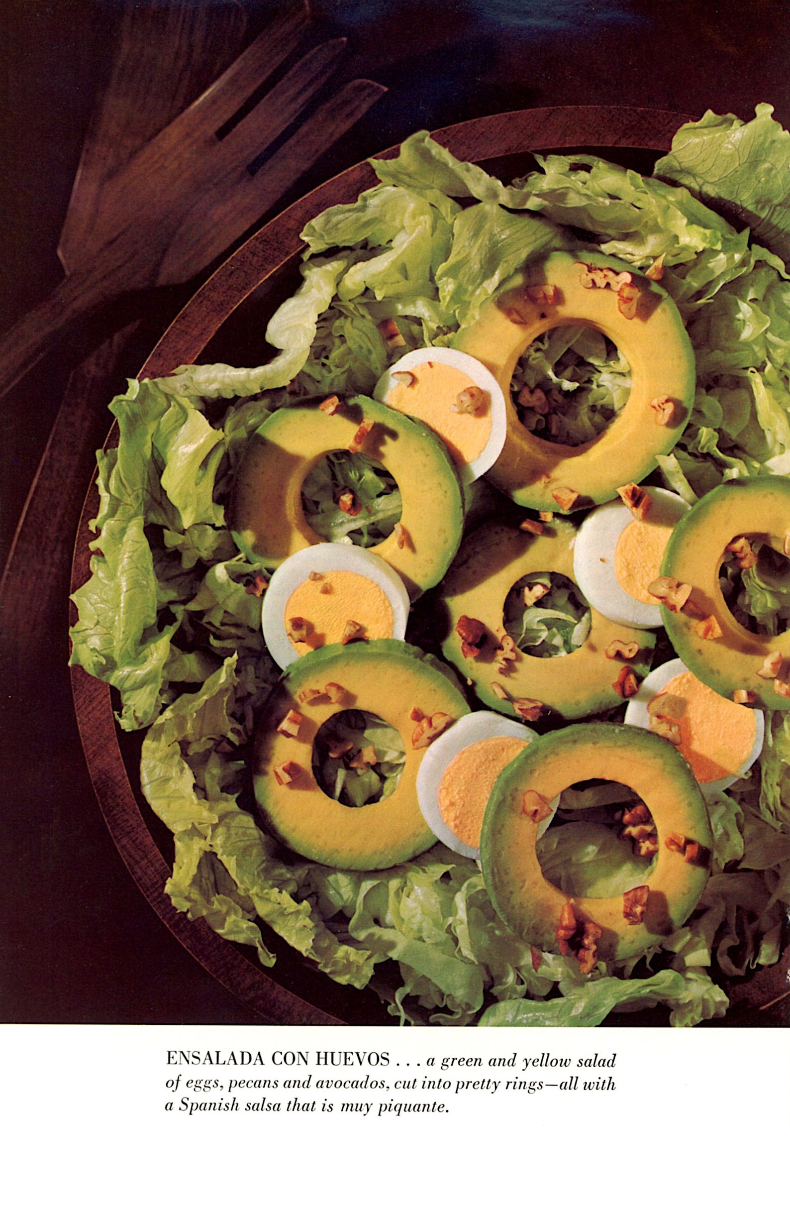 1978 the Avocado Bravo Cook Book Instant Digital Download California ...