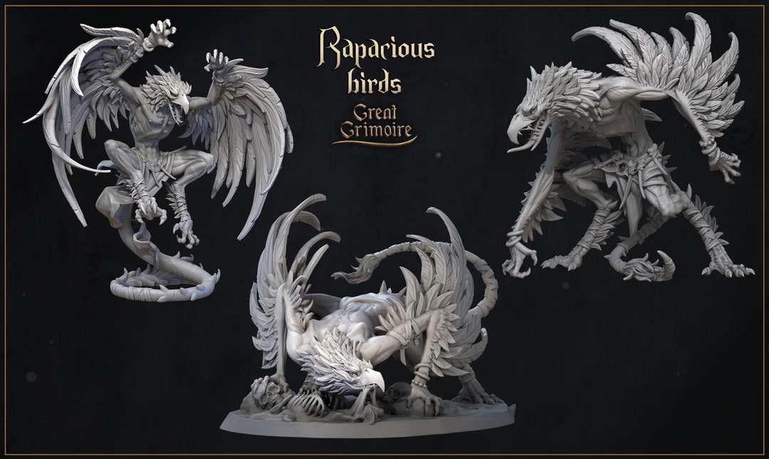 Rapacious Birds | Great Grimoire | 3D Print | Ready to Paint - Etsy