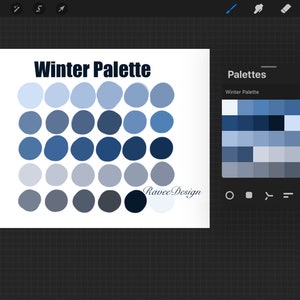 30 Winter color palette for Procreate on iPad | Etsy
