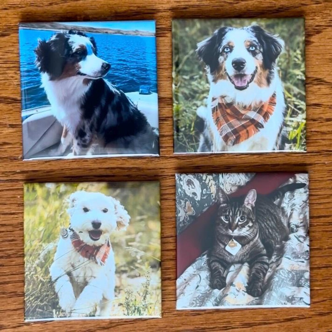 Personalized Photo Fridge Magnets, Photo Magnets, Customizable Fridge ...
