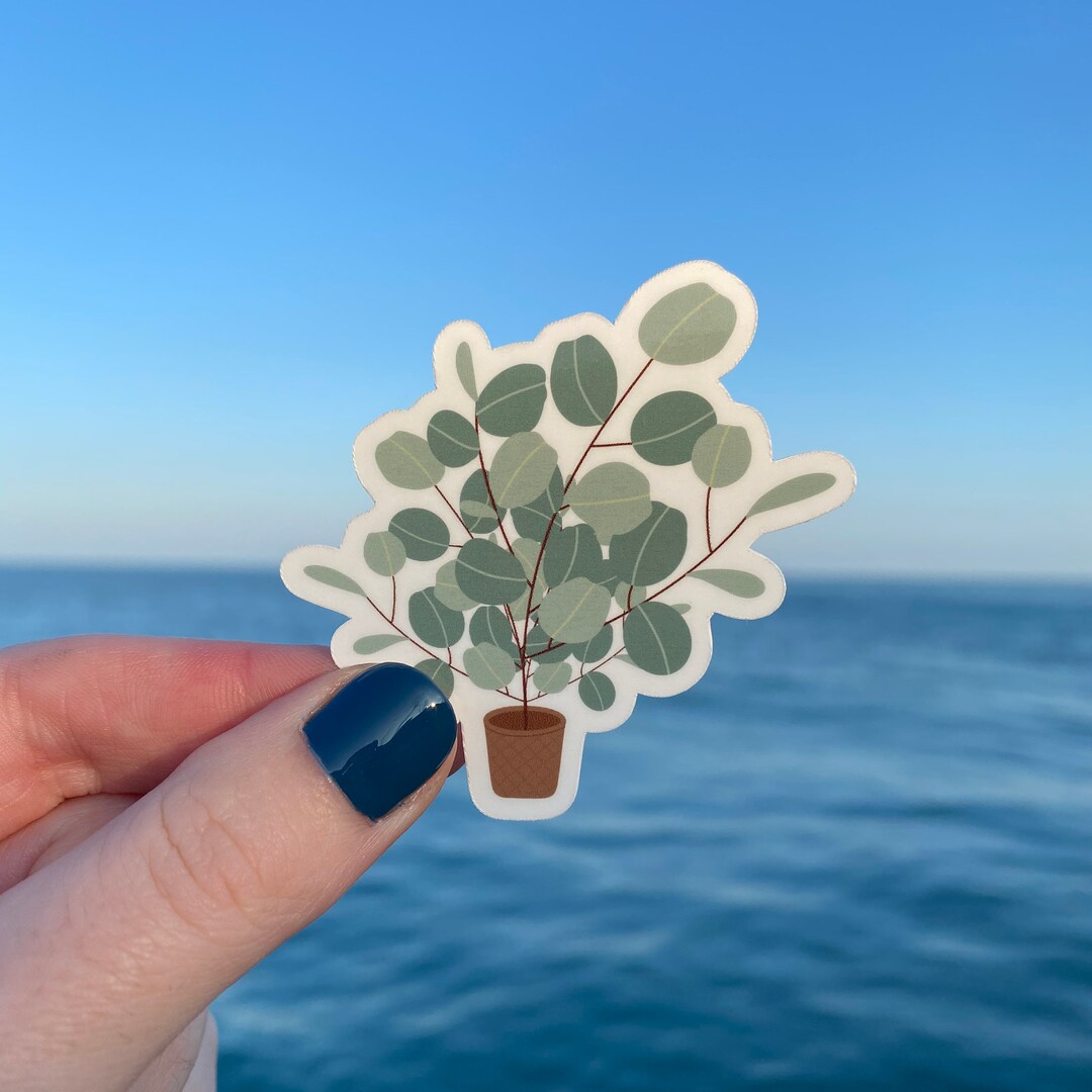 Eucalyptus Plant Sticker Vinyl Waterproof Sticker - Etsy