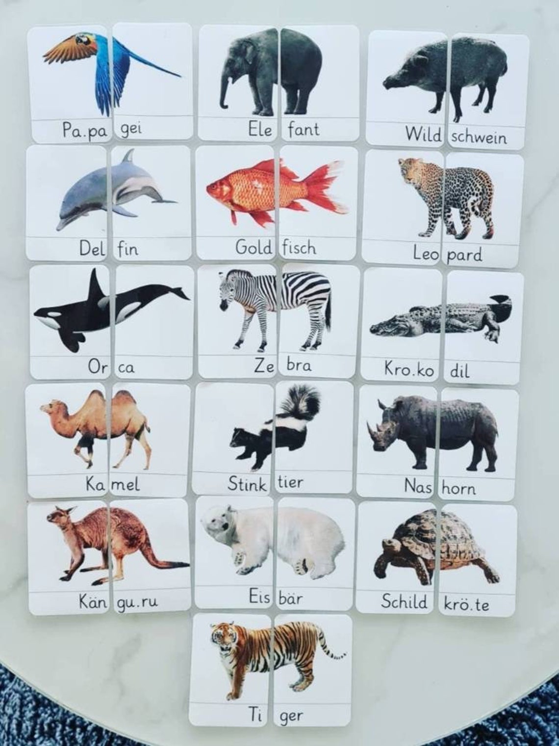 Animal Names Two Syllables at Corazon Stafford blog