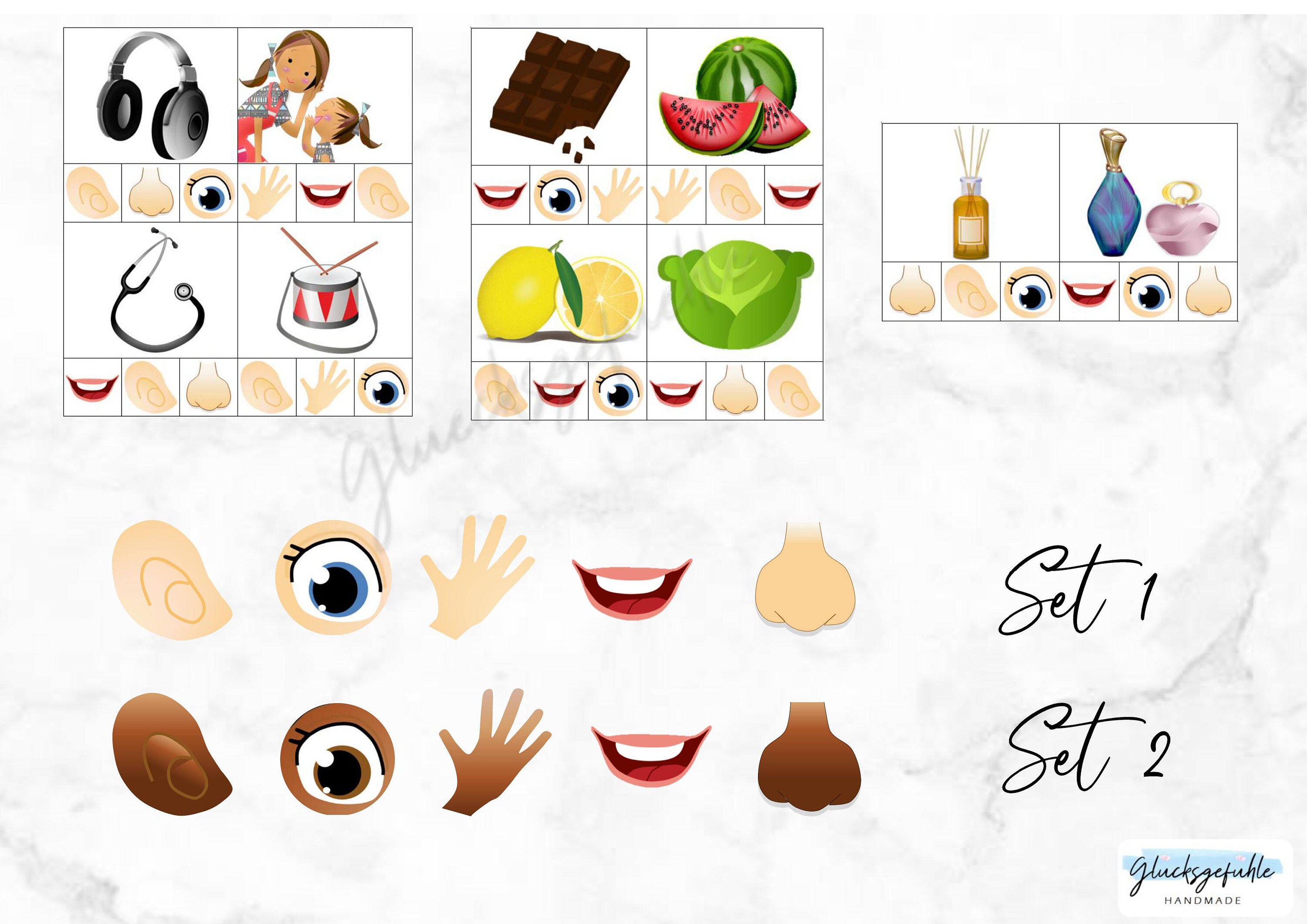 PDF 5 Senses, Five Senses, Sorting, Match, Cards, Montessori - Etsy