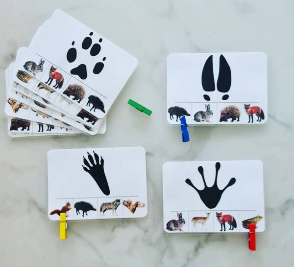 Montessori Geometry Sticks Material PDF - Etsy Canada