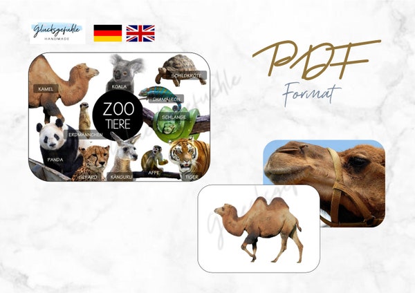 Animal Sort, Air, Land, & Water Animals, Animal Sorting Activity ...