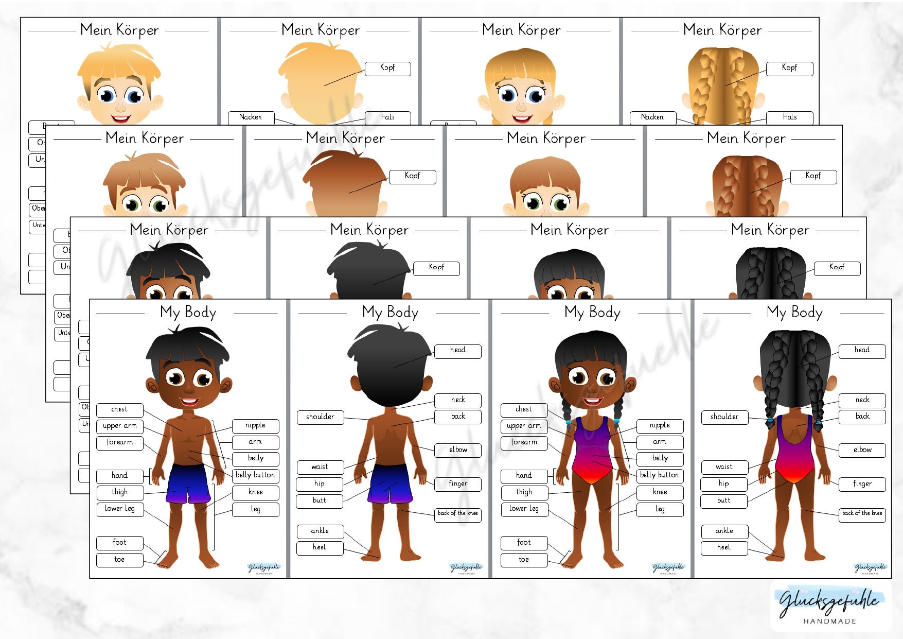 PDF Learning Pack Human Body, Human Body, Education - Etsy UK