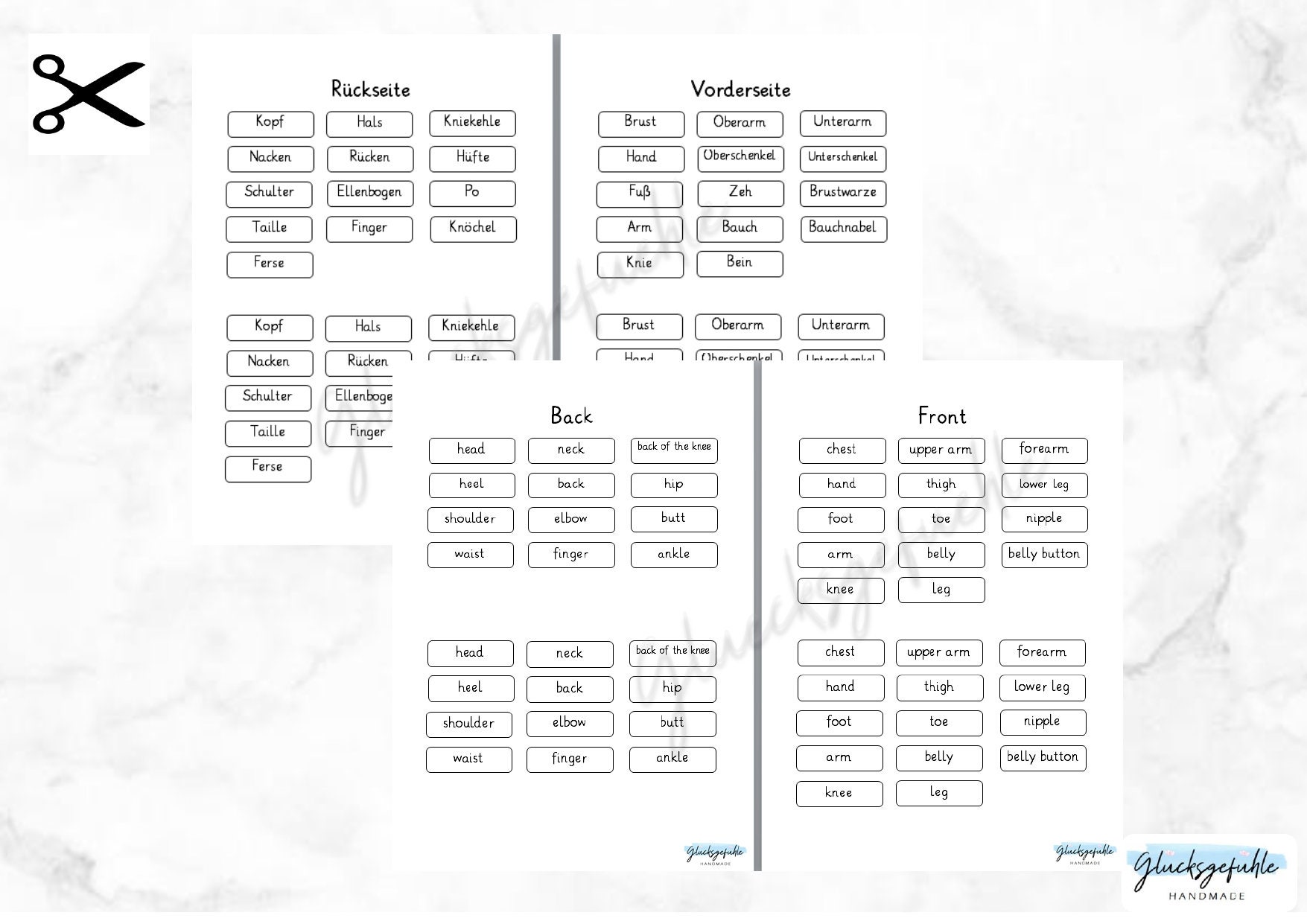 PDF Learning Pack Human Body, Human Body, Education - Etsy UK
