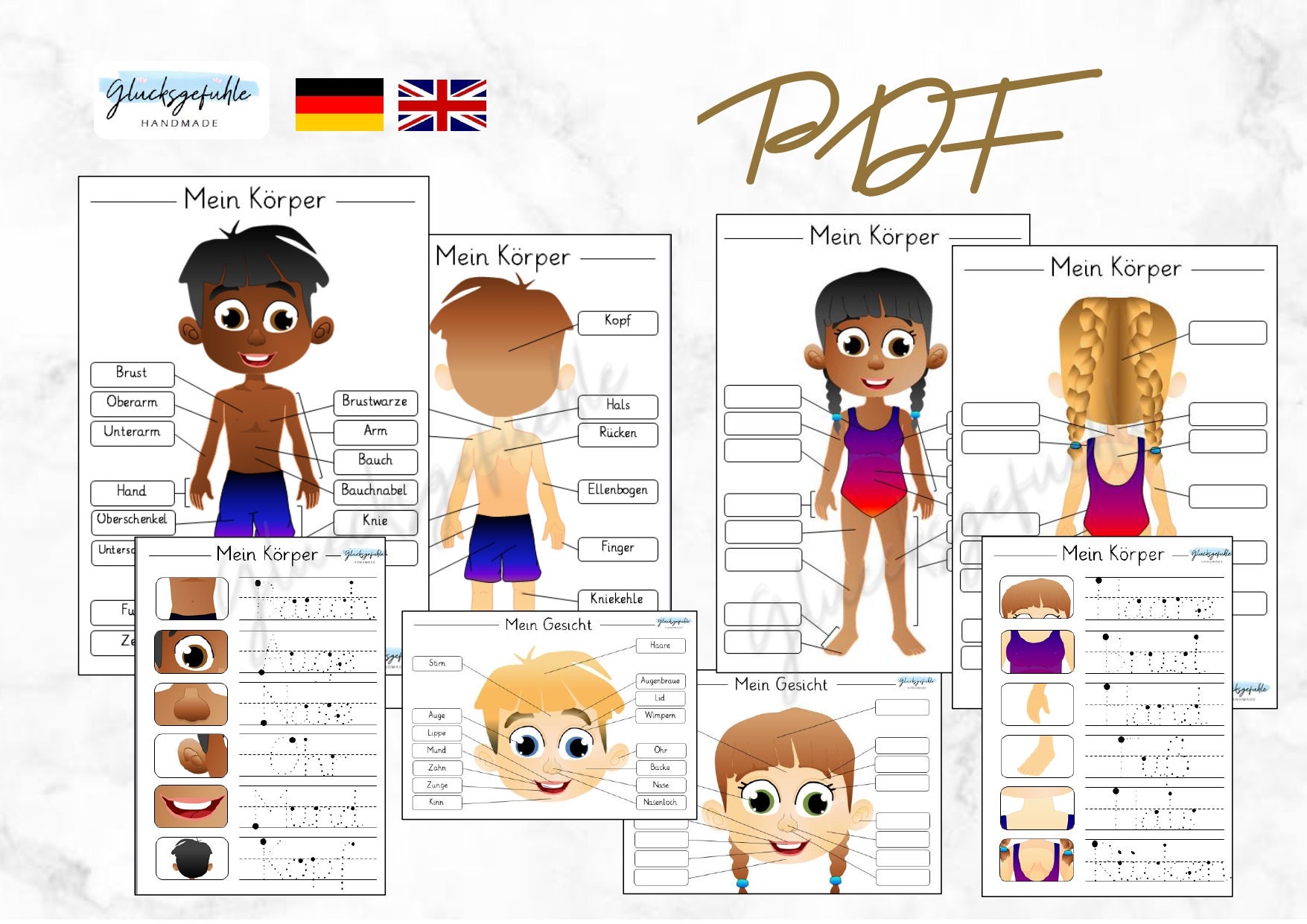 PDF Learning Pack Human Body, Human Body, Education - Etsy UK