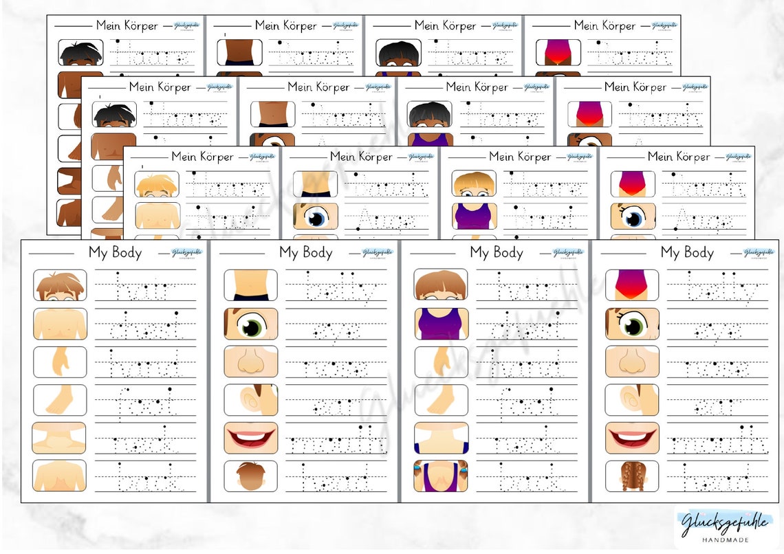 PDF Learning Pack Human Body, Human Body, Education - Etsy UK