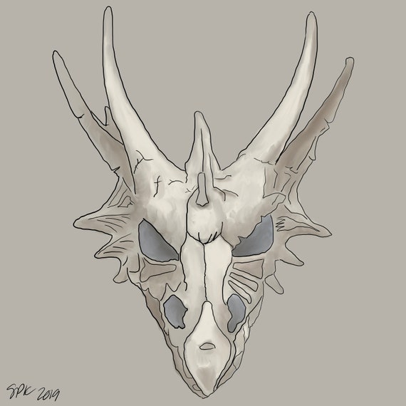 Dragon Skull Drawings