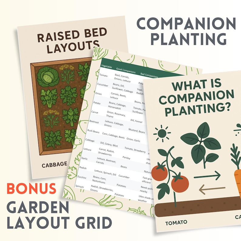 Companion Planting Guide: Garden Planner With Layouts (digital Download ...