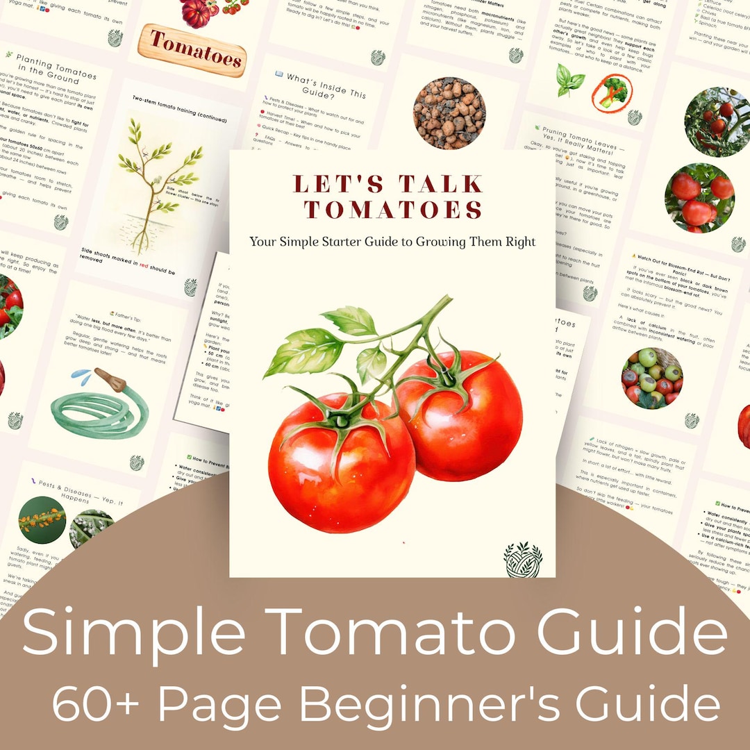 Tomato Growing Guide Ebook: Beginner Gardening Tips (PDF + JPG) - Etsy