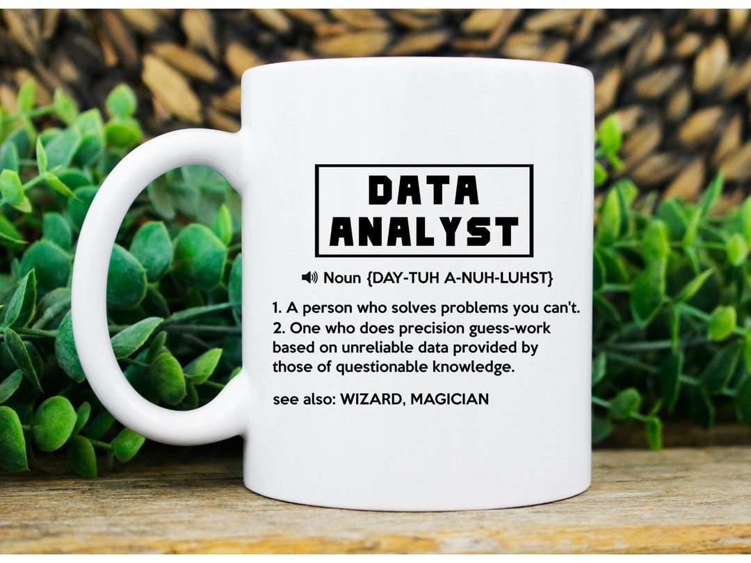 Funny Data Analyst Gift for Men and Women, Data Analyst Mug, for ...