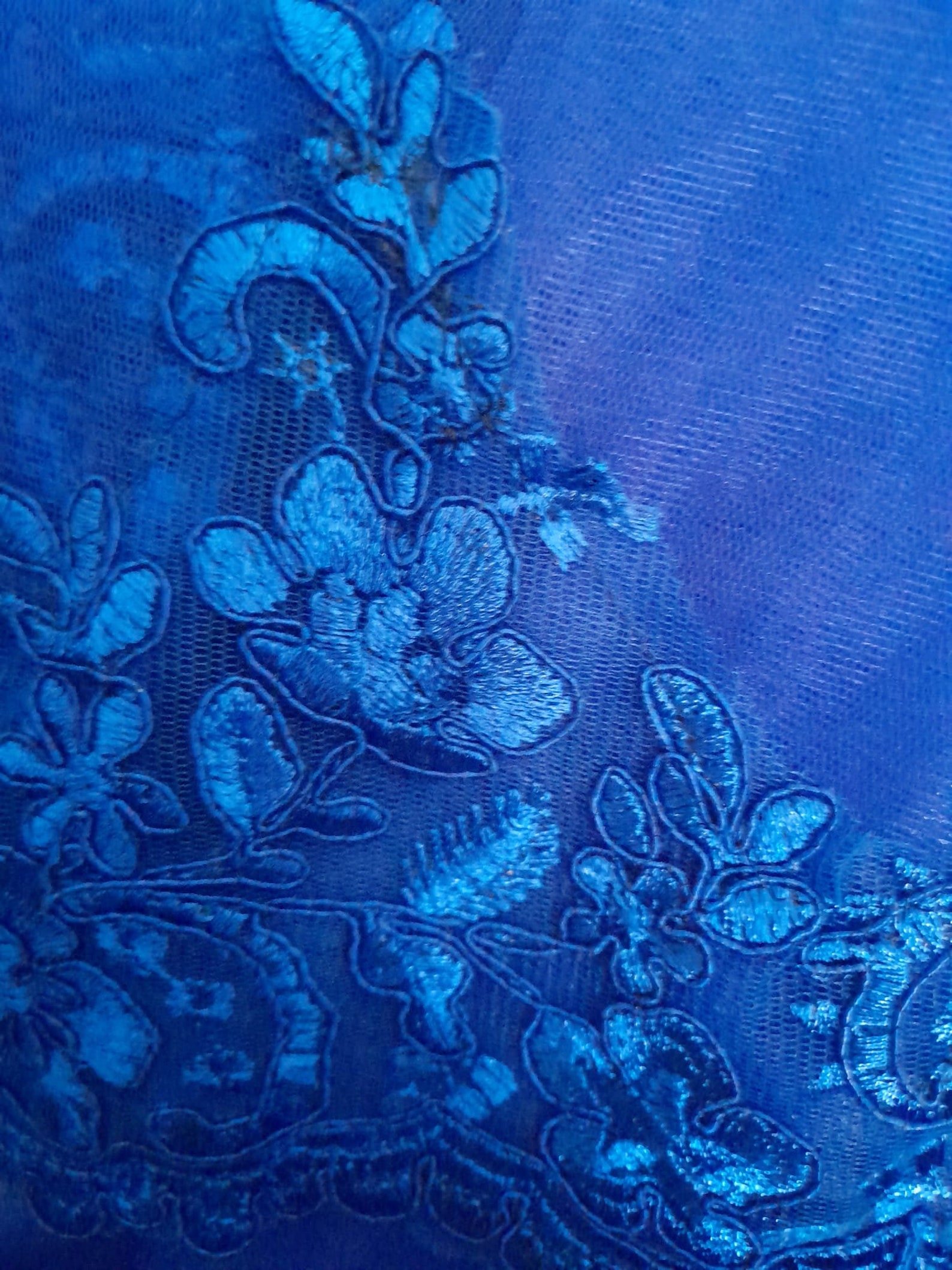 Royal Blue Veil With Lace Edge,cathedral Veil With Comb - Etsy